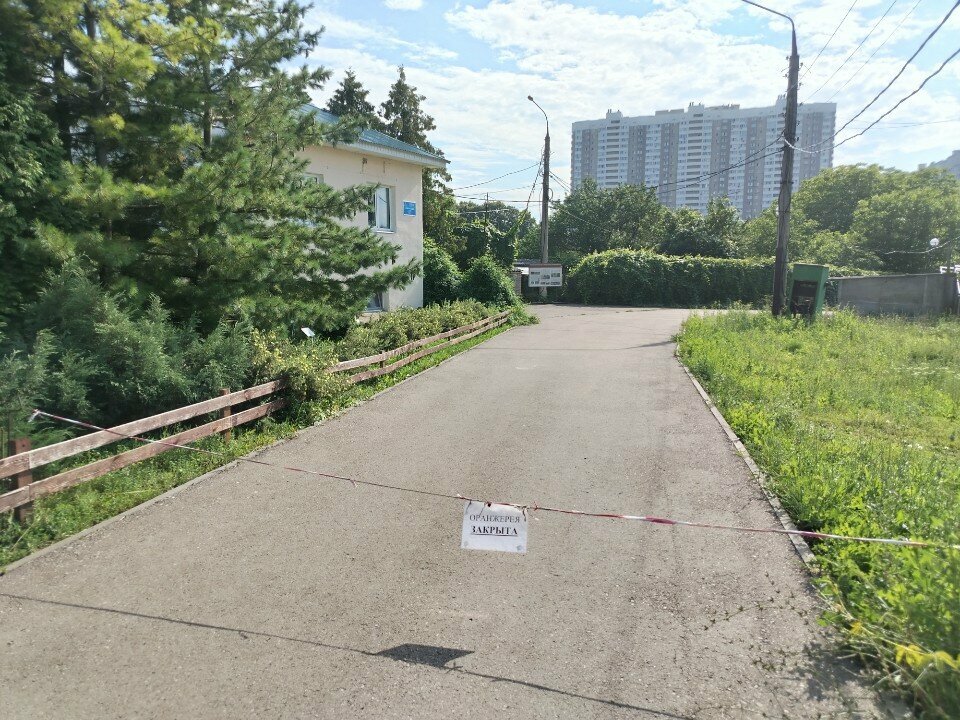 Müzeler ve sanat galerileri Оранжерея ботанического сада Самарского государственного университета, Samara, foto