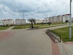 Bicycle parking (Bresckaja voblasć, Baranavichy, Francyska Skaryny Street), bisiklet park yerleri  Baranavichy'den