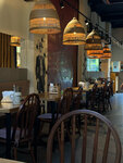 Пастерия 51 (Frunze Street No:51), kafe  Kaliningrad'dan