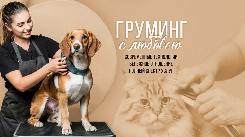 Petshop GroomDeLux, Tümen (Tiumenskaya) oblastı, foto