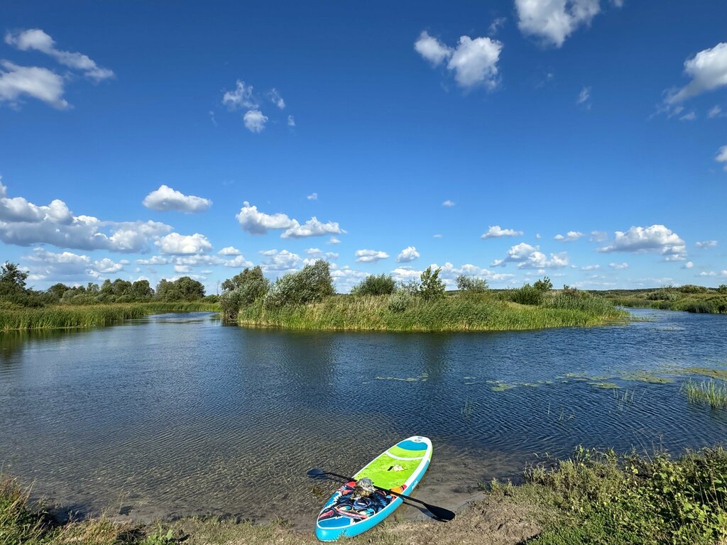Plaj Пляж, Voronejskaya oblastı, foto