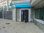 Zhivoy Kollagen Kazakhstan (Qabanbaı Batyr dańǵyly No:11), besin takviyesi, aktariye  Astana'dan