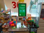 Sberbank of Russia (Amineva Street No:5Б), ödeme terminali  Samara'dan