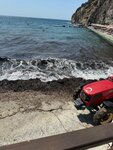 Turtel (Aydın, Kuşadası, Türkmen Mah., Adakule Otel, 1), otel  Kuşadası'ndan