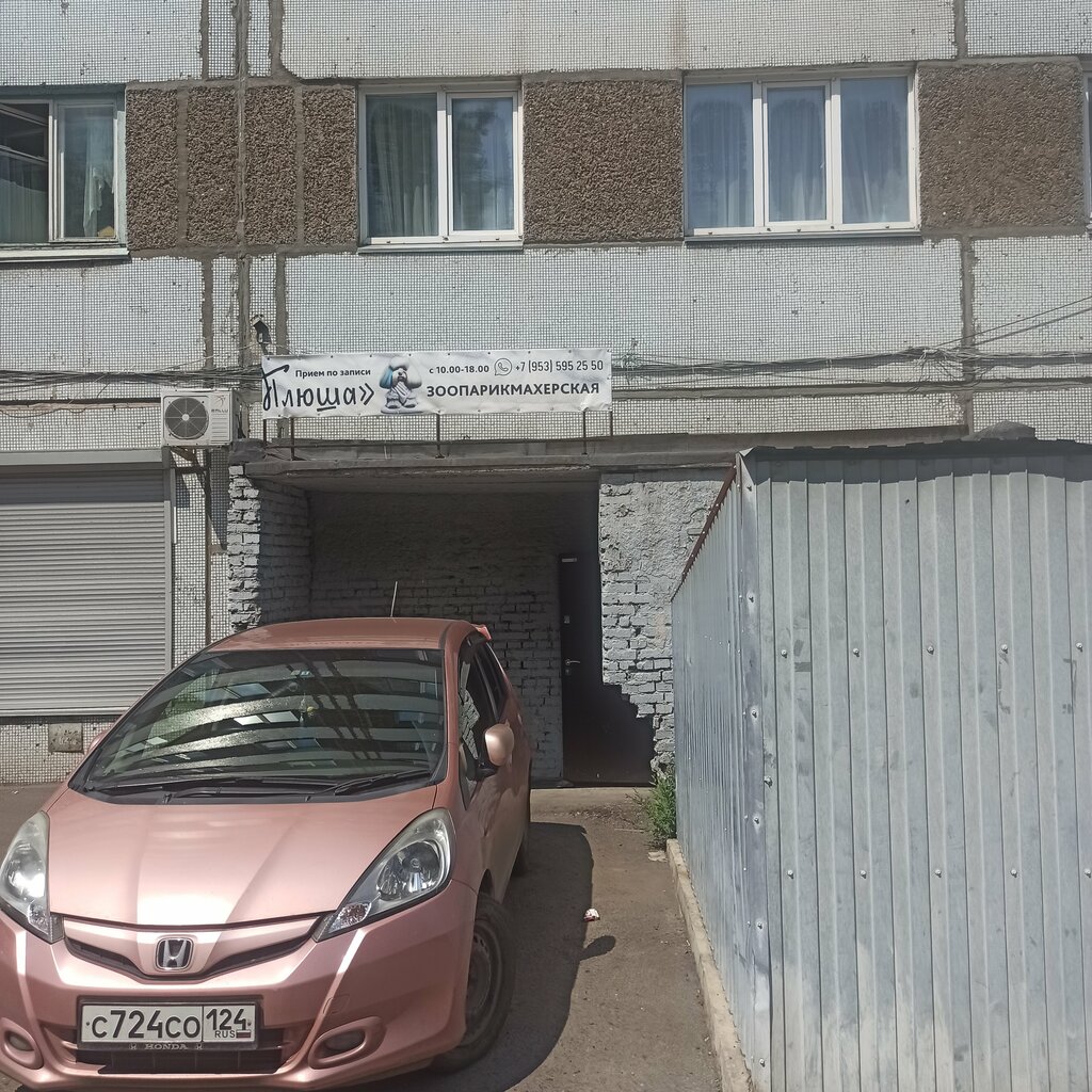 Evcil hayvan kuaförleri Плюша, Krasnoyarsk, foto