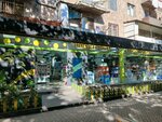 Fast Shift (Gyulbenkyan Street No:24), ödeme terminali  Erivan'dan