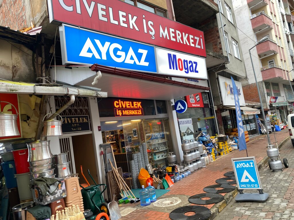 Benzin istasyonu Lipetgaz, Araklı, foto
