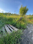 родник Памяти матери-2 (Minski District, Shchomyslicki Rural Council), pınar, çay  Minskaya oblastından