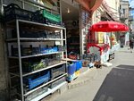 ხოლბოსტანი (Kote Mardzhanishvili Street No:46, Chugureti District), manavlar  Tiflis'ten