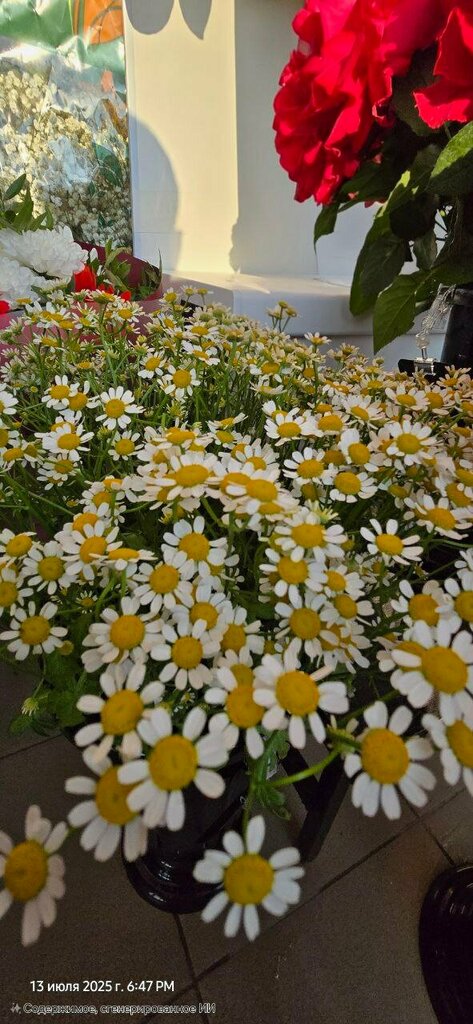 Çiçekçiler Цветы24, Domodedovo, foto