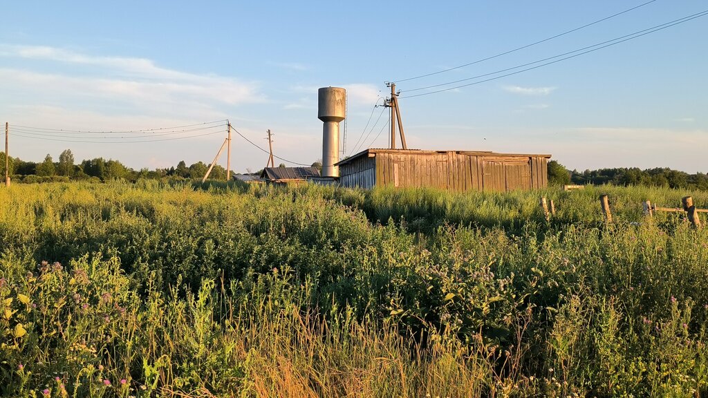 Hayvancılık Животноводческое хозяйство, Nijegorodskaya oblastı, foto