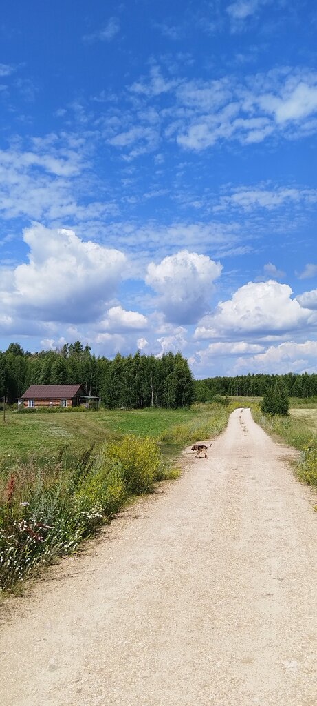 Hayvancılık ЛПХ ЛуКошКо, Çeliabinskaya oblastı, foto