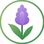 Flowers (Dzerzhinskogo Street No:11АлитД), çiçekçiler  Reutov'dan