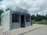 Ромашка (Omsk, Leninskiy District), yapay bitki ve çiçek  Omsk'tan