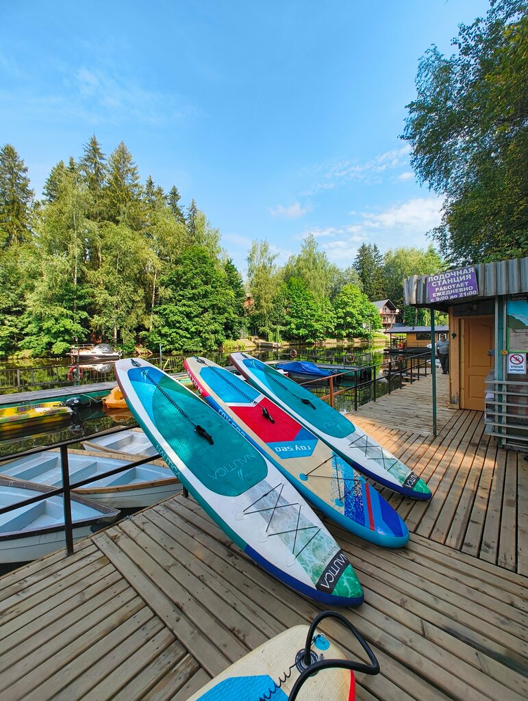 Kürek sörfü Sup Solontsovo, Moskova ve Moskovskaya oblastı, foto