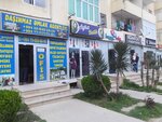 Dashinmaz emlak agentliyi (İstiqlaliyyət küçəsi No:136, Village of Masazir), emlak ofisi  Abşeron ilçesinden