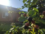 Uyut i Teplo (Proletarskaya ulitsa No:16А, selo Vervekovka), otel  Voronejskaya oblastından