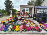Flowers (Moscow Region, Domodedovo, Severniy Subdistrict, Naberezhnaya Street), çiçekçiler  Domodedovo'dan