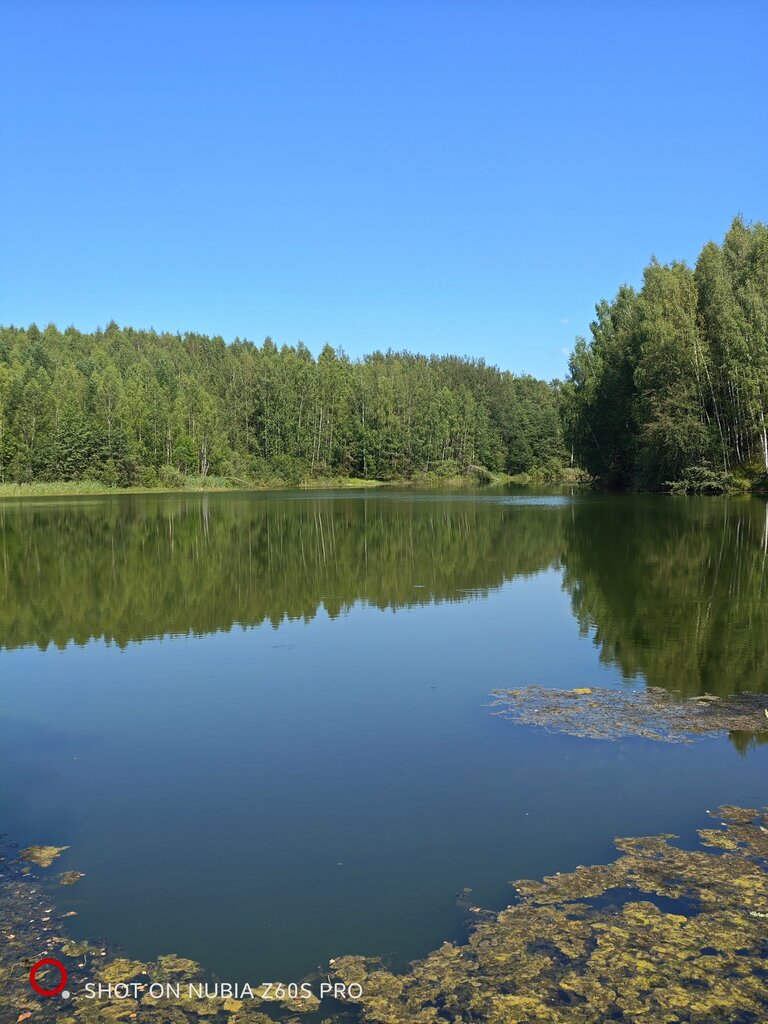 Plaj Пляж, Moskova ve Moskovskaya oblastı, foto