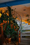 Miss Li (Pieramozhcaw Avenue No:23), restoran  Minsk'ten