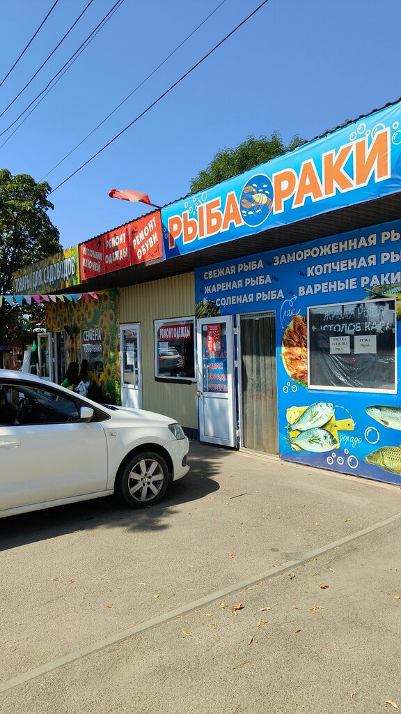 Balık ve deniz ürünleri Рыба и морепродукты, Krasnodar, foto