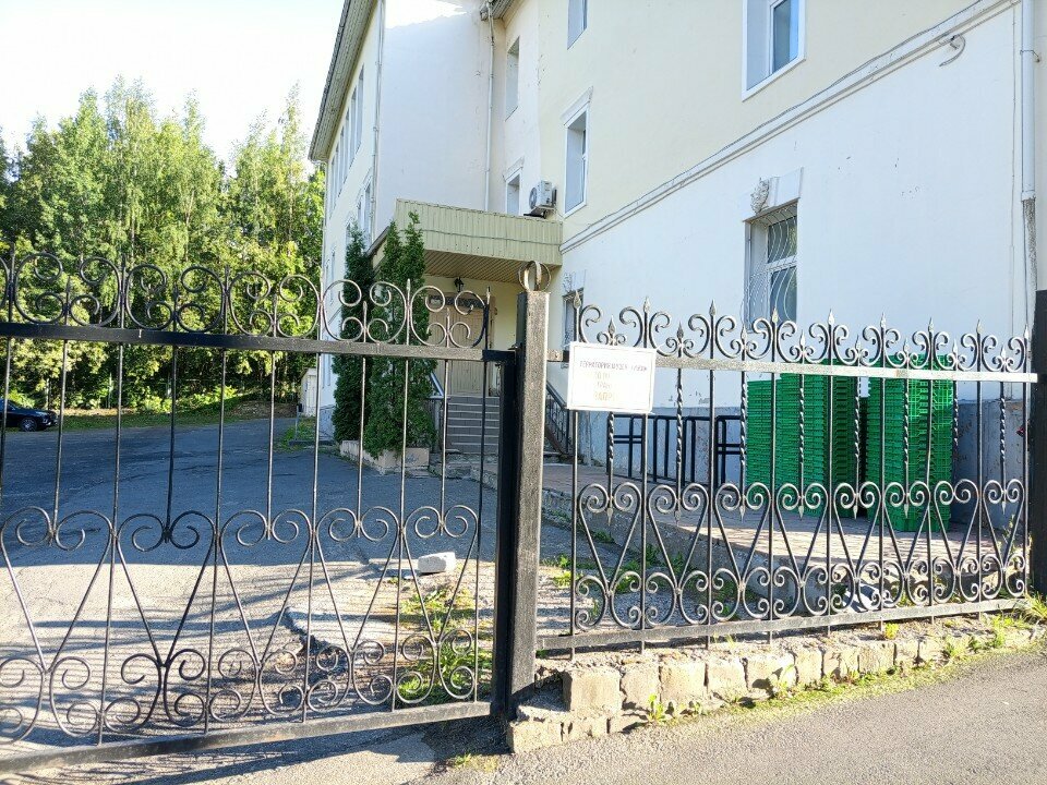 Konuk evi Дом у фонтанов, Petrozavodsk, foto