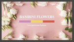 Bambini flowers (Rubtsovsk, Severnaya ulitsa, 22), flower shop  Rubtsovsk'tan