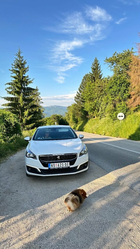 Oto kiralama Test rent a car, Güney Backa İlçesi, foto