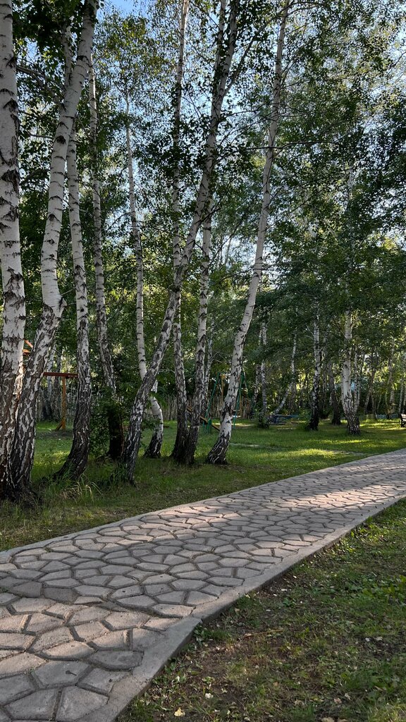 Resort oteller, tesisler Berezovaya Roscha, Pavlodar eyaleti, foto