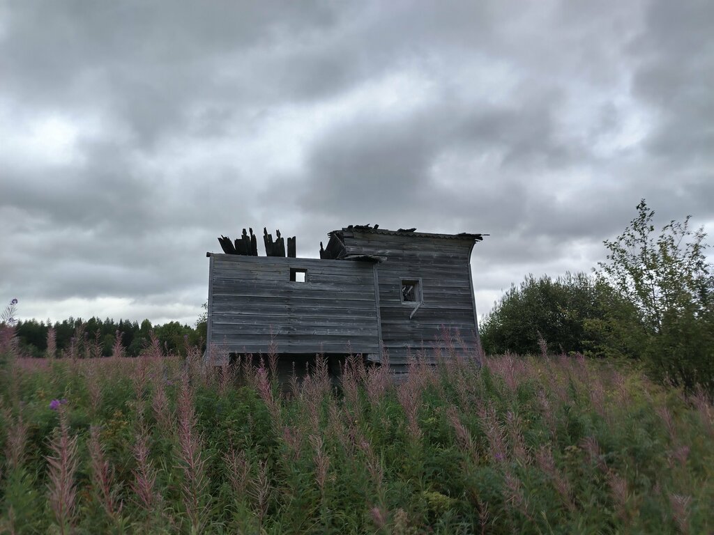 Şapel, haç anıtı Часовня Никольская, Arhangelskaya oblastı, foto