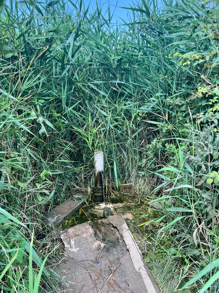Pınar, çay Spring, stream, Kırım Cumhuriyeti, foto