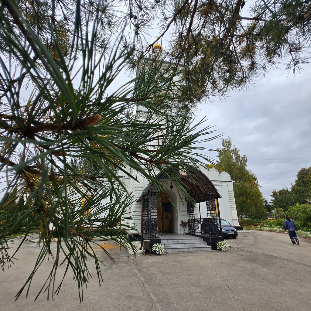 Ortodoks kiliseleri Богородице-Рождественская церковь, Tula, foto