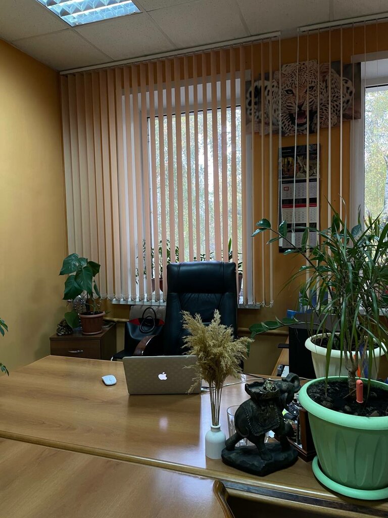 Hukuk büroları Юрист Матюшкина О. Б., Saransk, foto