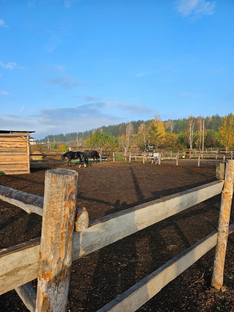 At ve binicilik kulüpleri Добрая лошадь, Sverdlovskaya oblastı, foto
