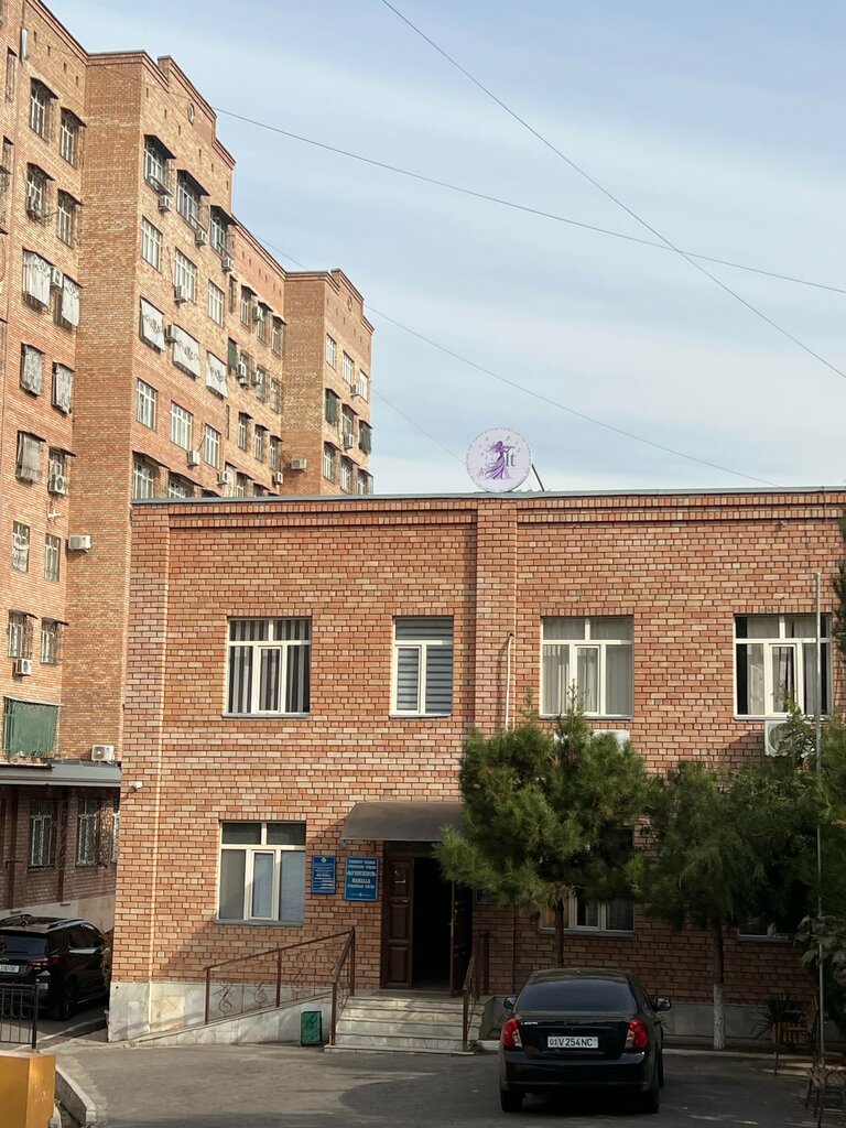 Müzik okulları ve konservatuarlar The Alt Studio, Taşkent, foto