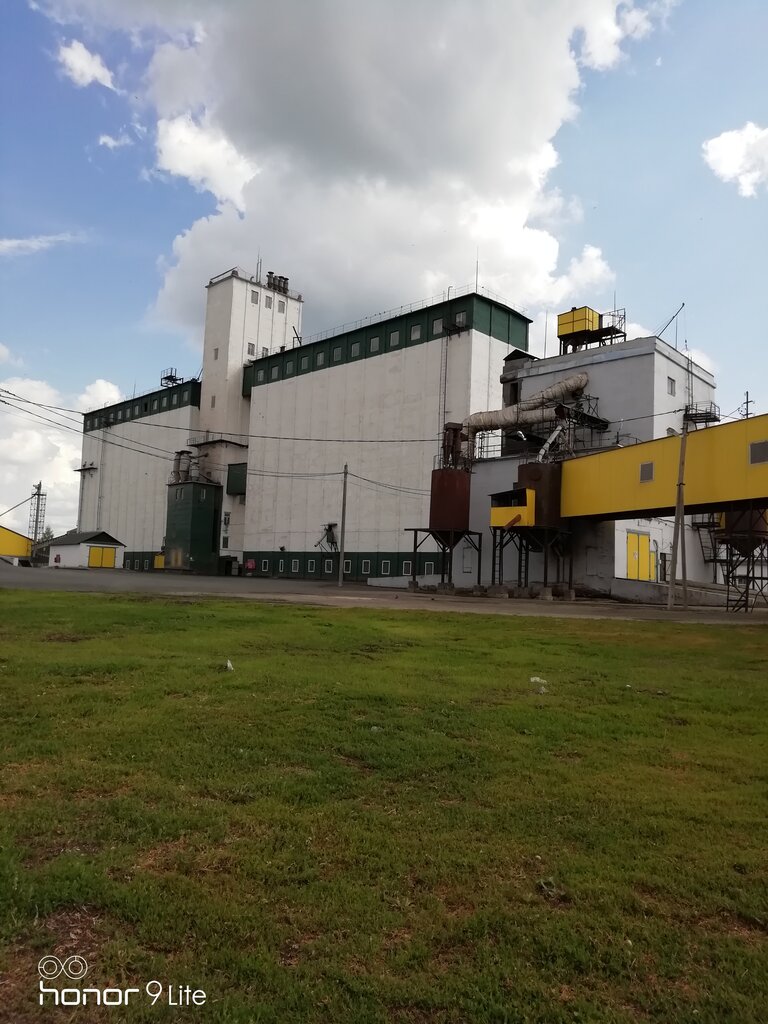 Silo Chelno-Vershinsky elevator, Samarskaya oblastı, foto