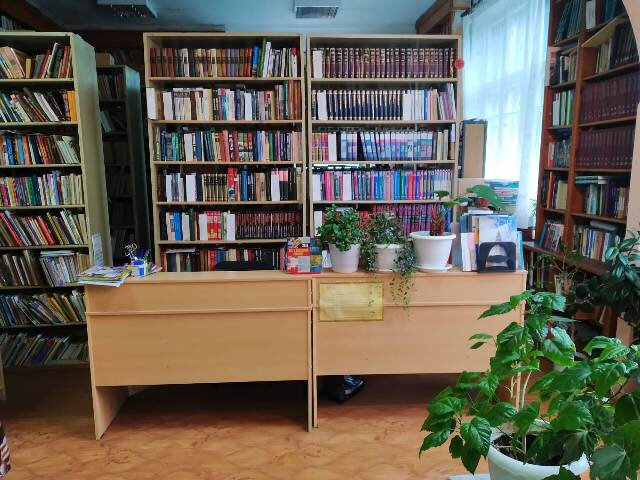 Kütüphaneler Бавленский библиотечный филиал, Vladimirskaya oblastı, foto