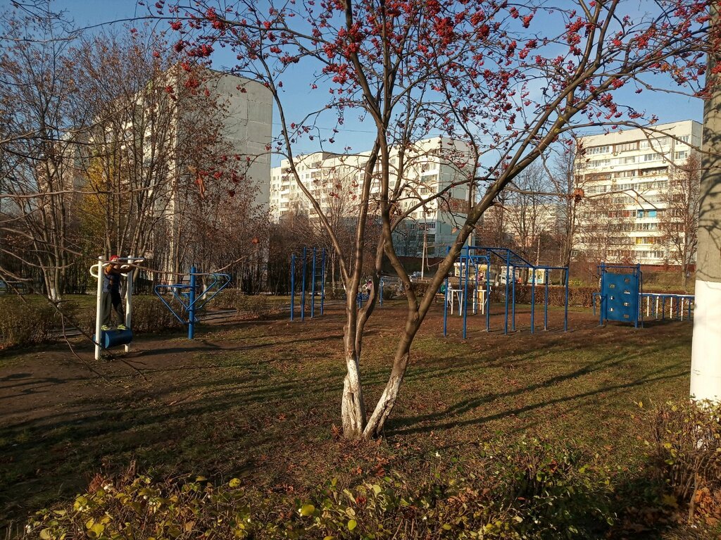 Spor alanı Спортивная площадка, Tula, foto