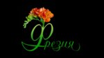 Flower shop 24h (Sharikopodshipnikovskaya Street No:36/18), çiçekçiler  Moskova'dan