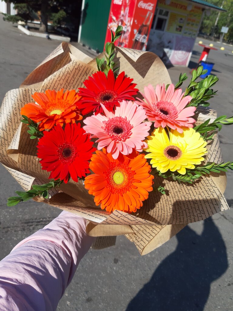 Çiçekçiler Wisteria Penza, Penza, foto