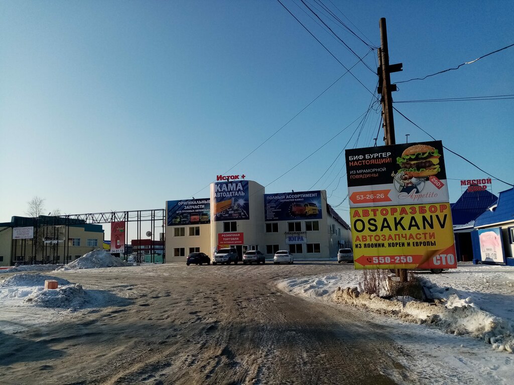 Otomobil yedek parçaları Kama-Avtodetal, Nijnevartovsk, foto