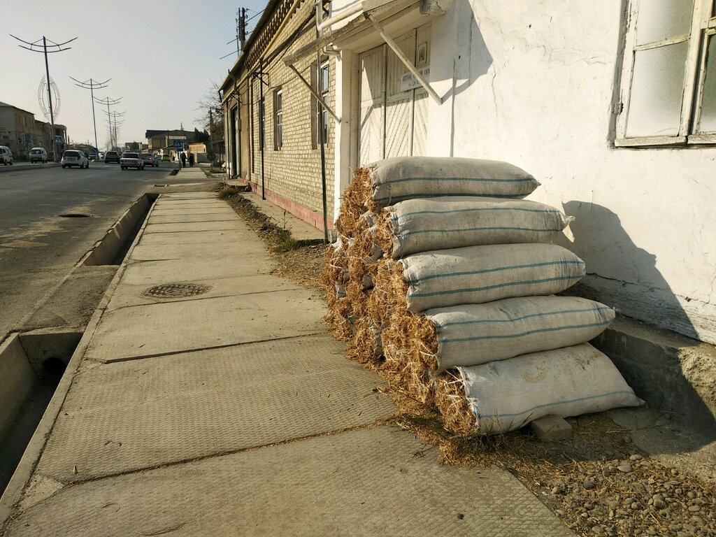 Yem ve yem katkı maddeleri Straw, Buhara, foto