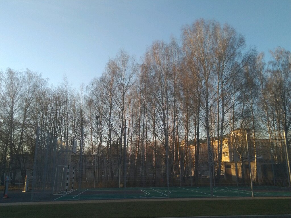 Spor alanı Спортплощадка, Briansk, foto