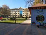 Little Harvard (No:31, Chilanzar District, Chilanzar Residential Area, 1-mavze), özel okul  Taşkent'ten