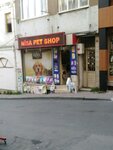 Nisa Pet Shop (Koca Mustafapaşa Mah., Hacı Kadın Çeşmesi Sok., No:1A, Fatih, İstanbul), petshop  İstanbul'dan