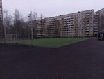 Школьный стадион (Saint Petersburg, Vyborgskiy District, munitsipalny okrug Sosnovskoye), stadyum  Saint‑Petersburg'dan