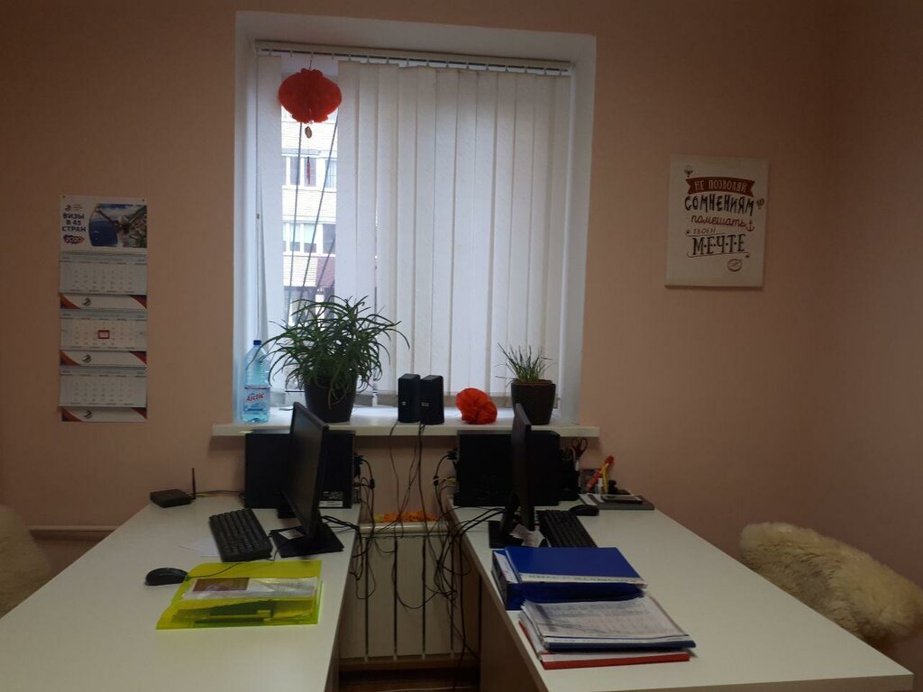 Pasaport ve vize işlemleri Помощь в оформлении виз и загранпаспортов, Noginsk, foto