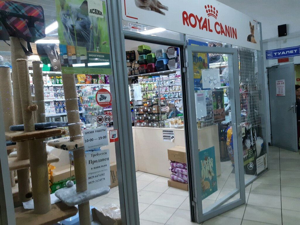 Petshop Zoomarket, Minsk, foto