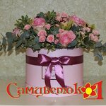 Samcvetok № 1 (Stara Zagora Street No:167Е), çiçekçiler  Samara'dan