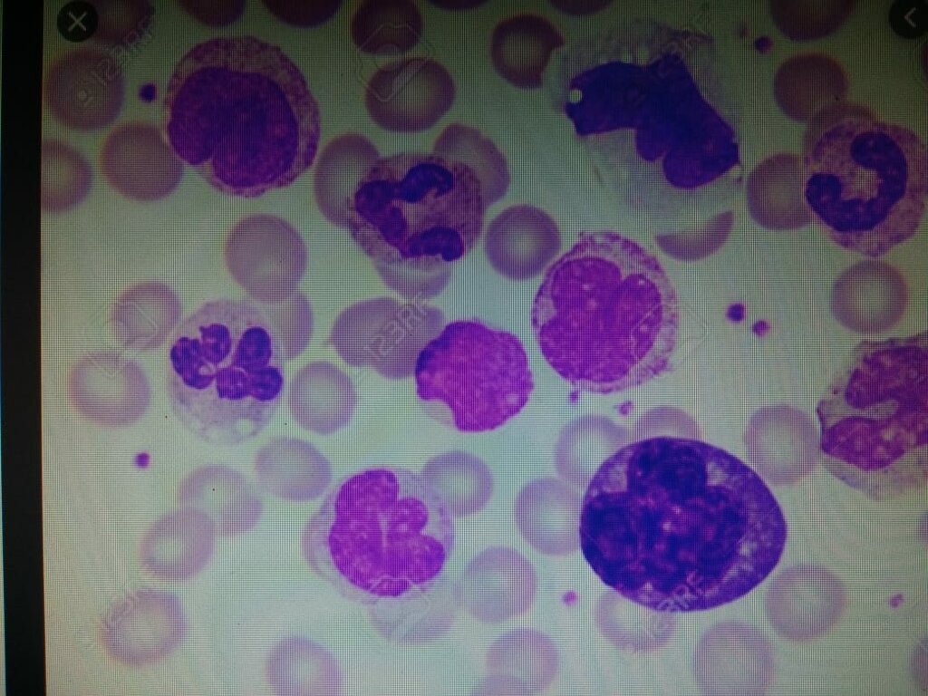 Soruşturma komitesi Laboratorios Asociados, , foto